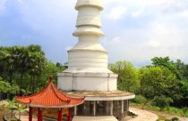 Green Line Water Bus Schedule And Ticket Price 2025 | GOROLI